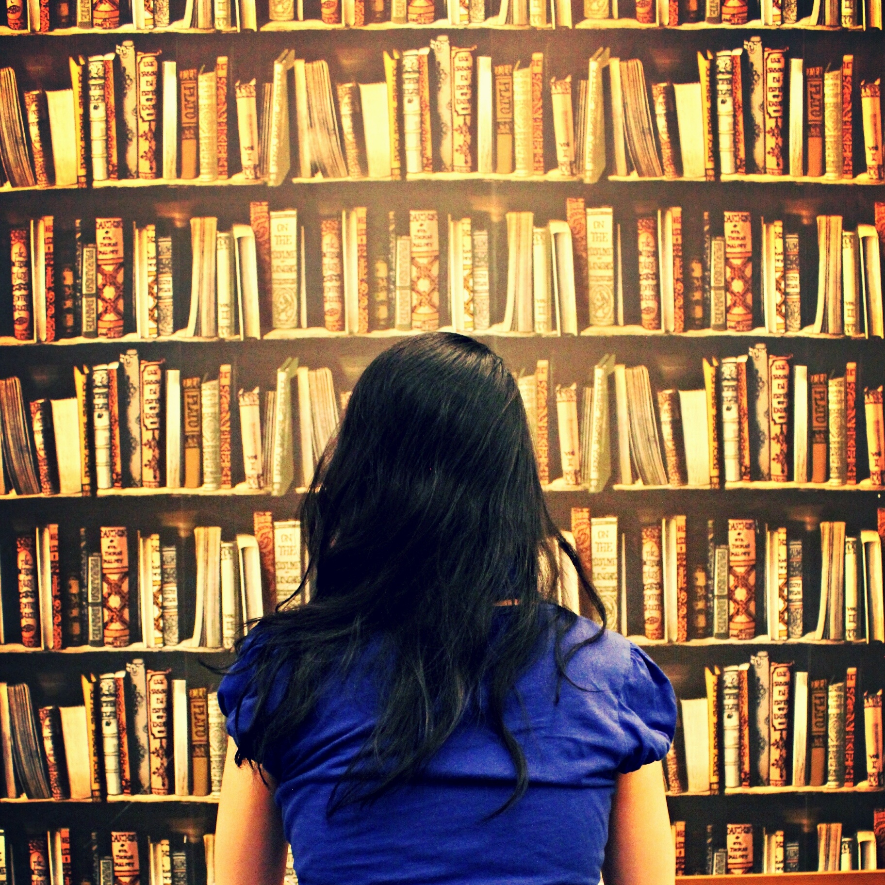 About – by Susan L. Lin 林🦕